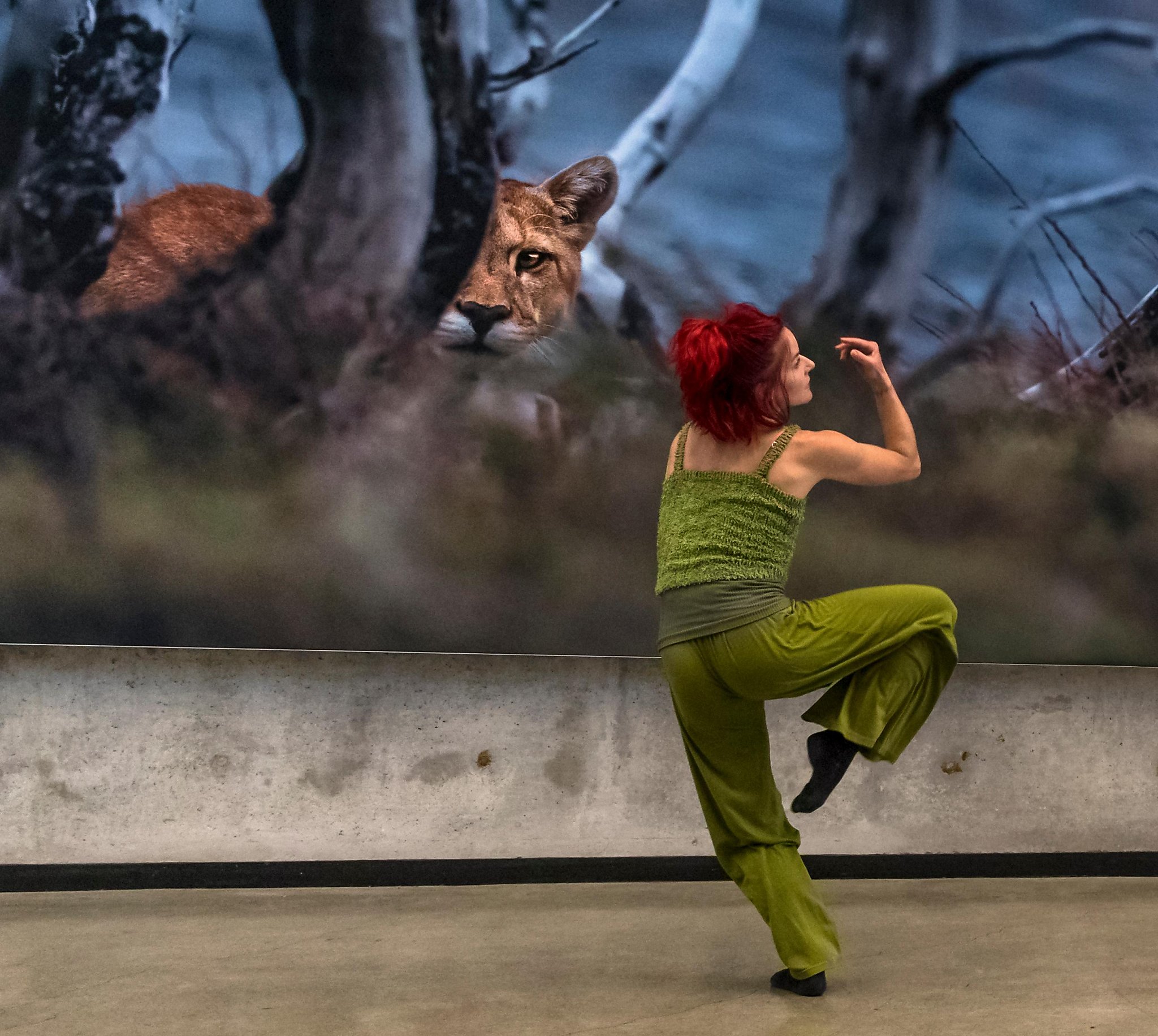 A site-specific dance performance to honor conservationist