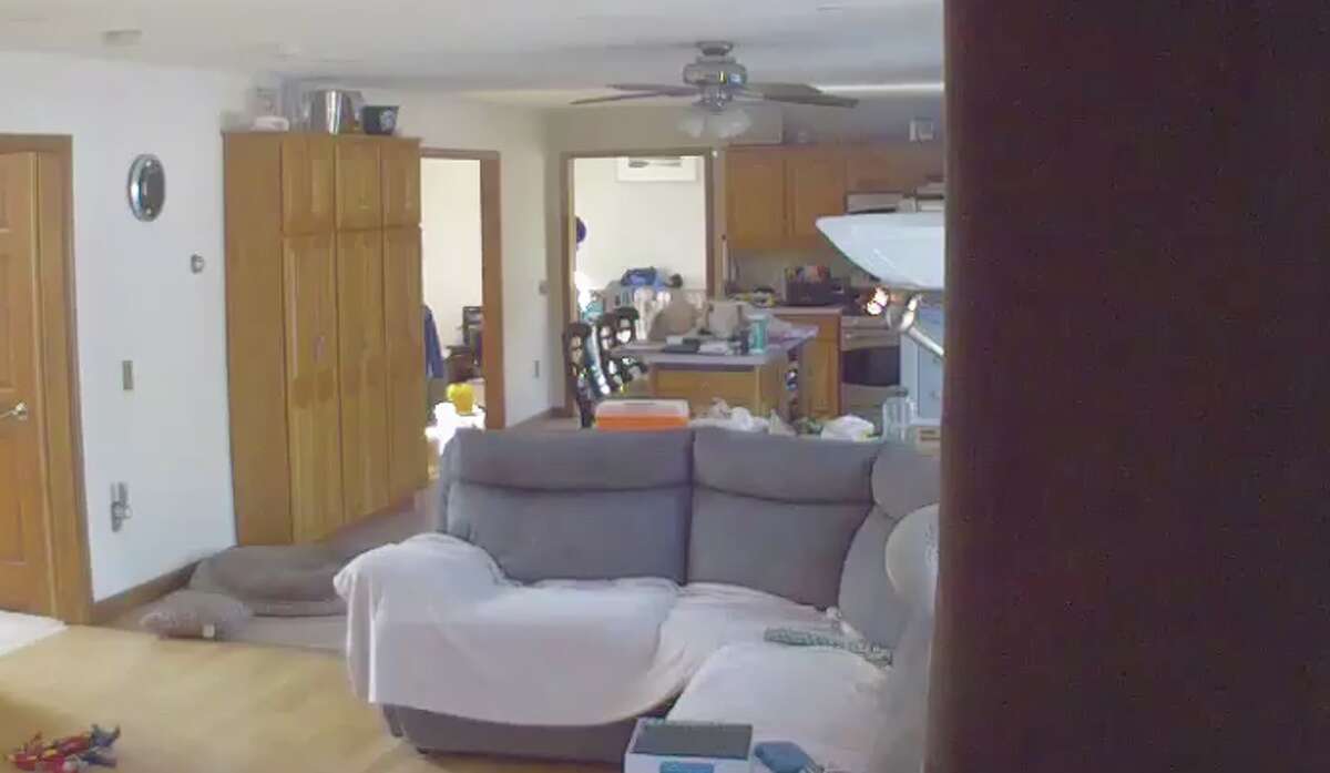 Security camera catches dog start house fire by turning on stove