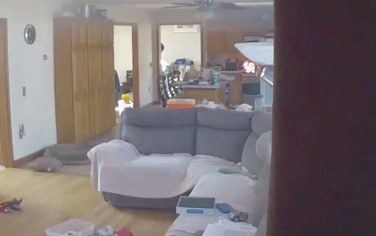 Security camera catches dog start house fire by turning on stove