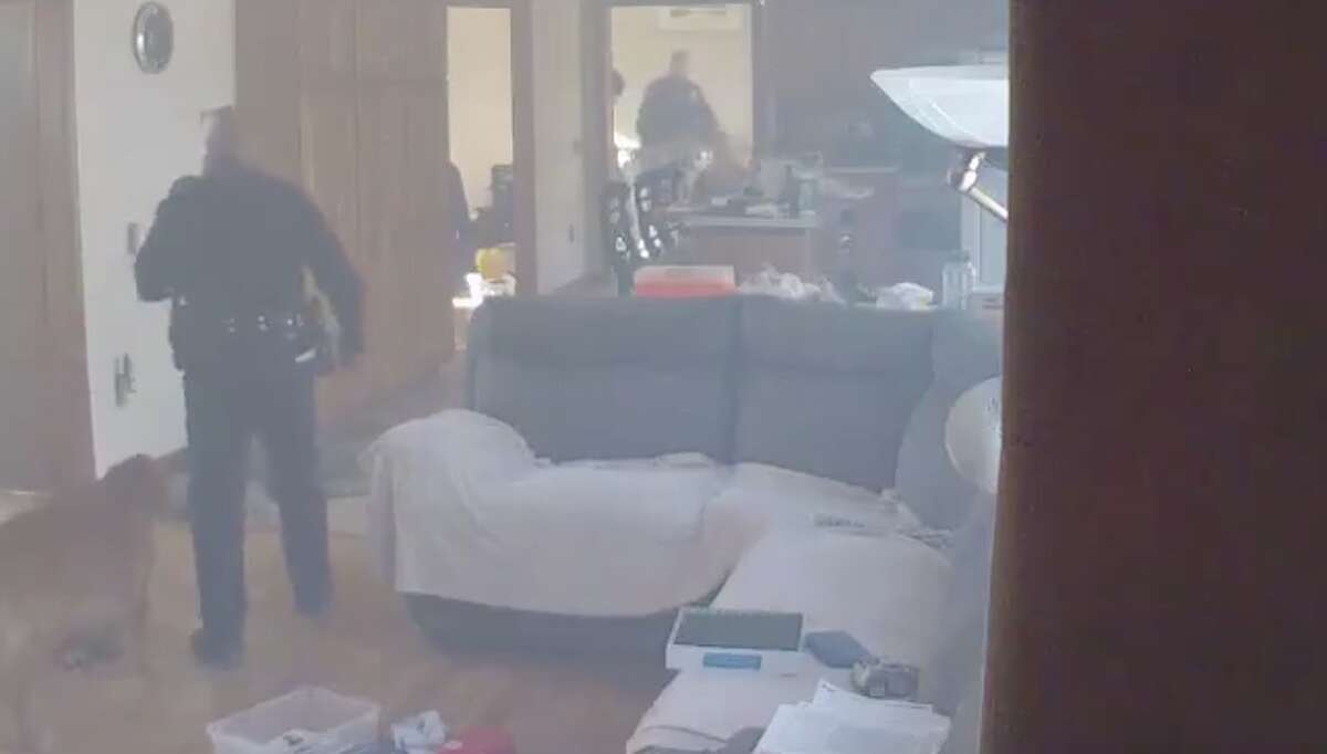 Security camera catches dog start house fire by turning on stove