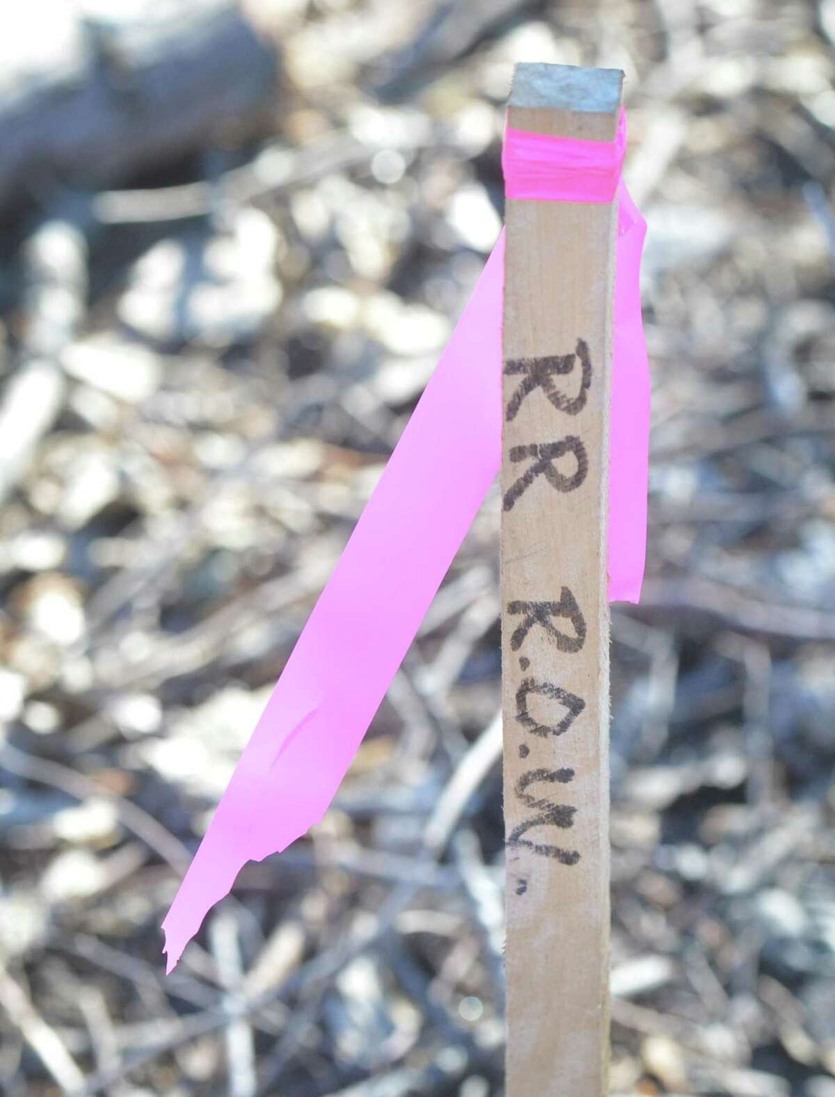 DOT puts $1M on table for Walk Bridge replacement easements