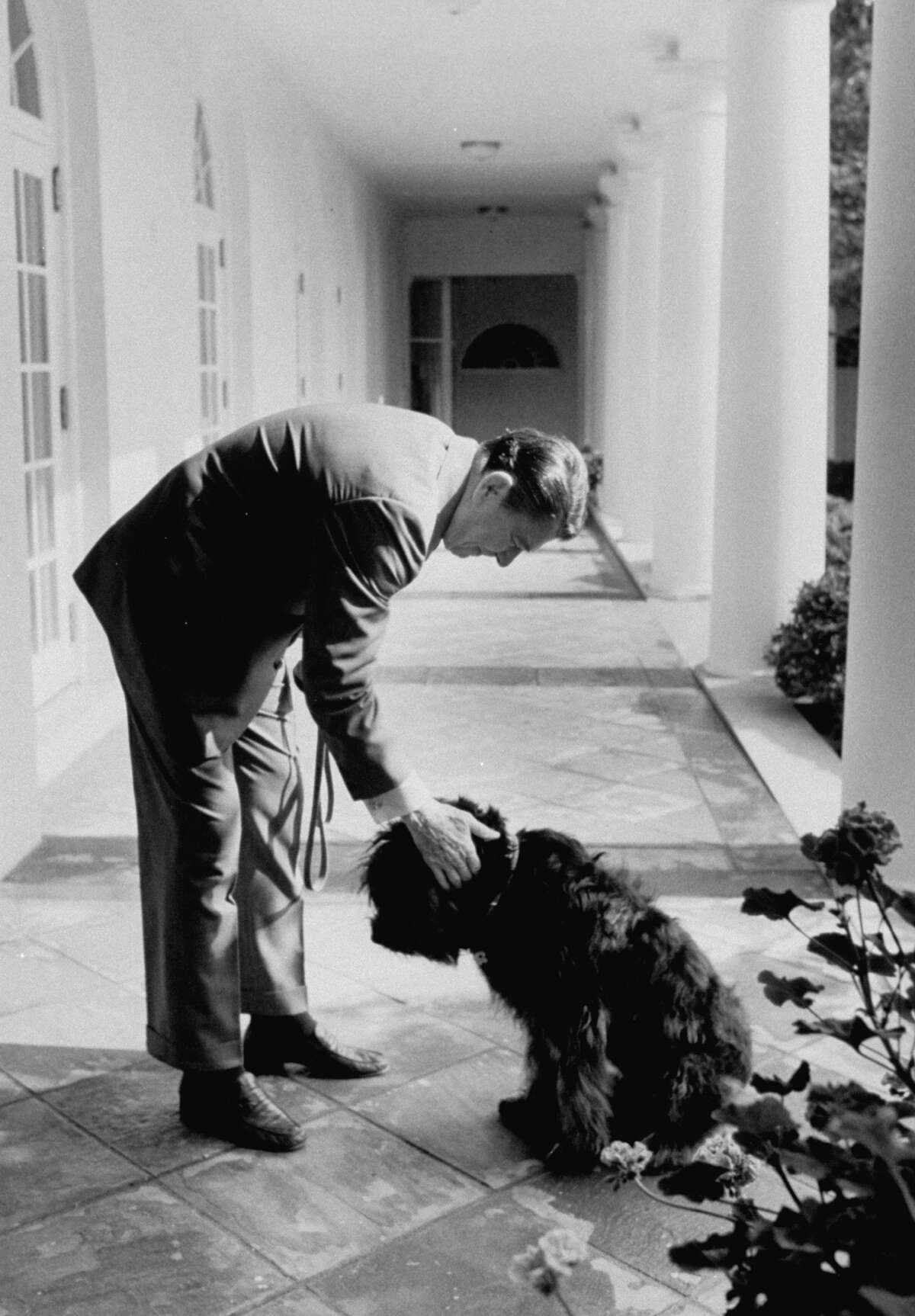 The best pictures of Ronald Reagan to celebrate what would have been ...
