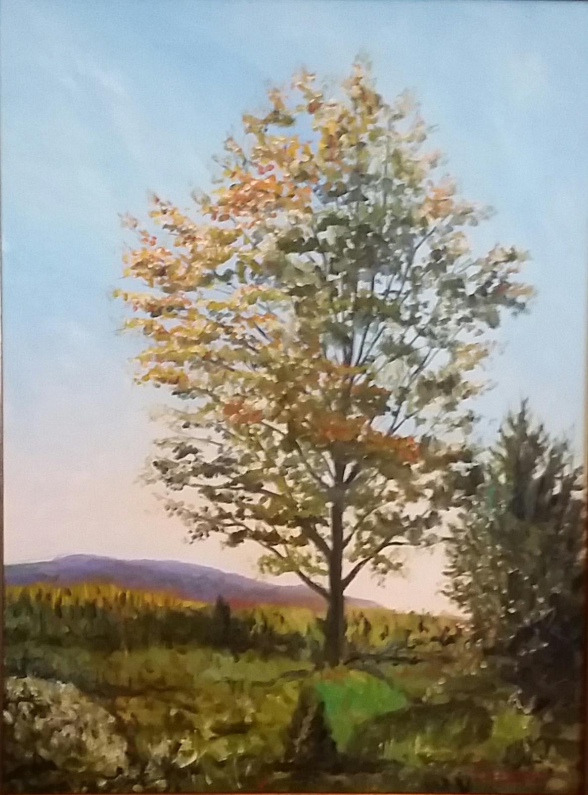 Acton Library displaying paintings by Chester artist Daniel Dahlstrom