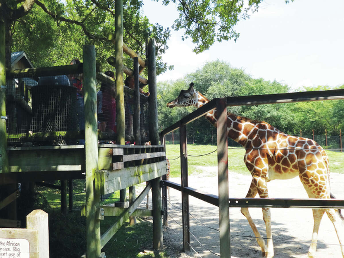 Missouri Ozarks’ zoo a gem