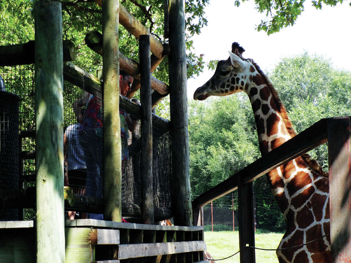 Missouri Ozarks’ zoo a gem