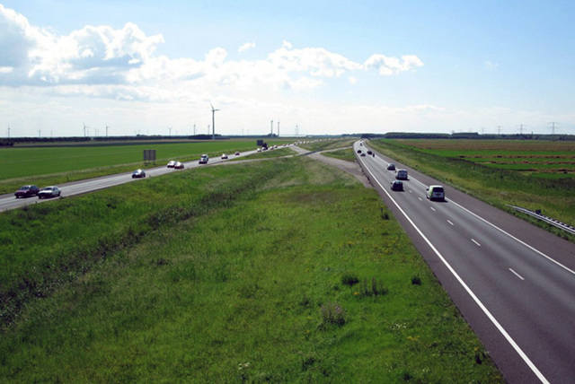 EarthTalk: Roadside plants serve a purpose