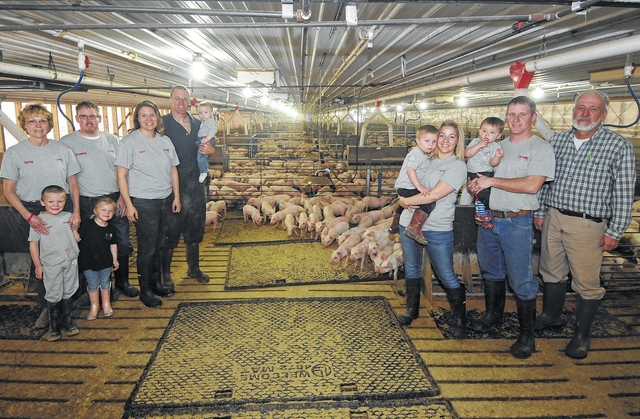 The changing face of hog farming