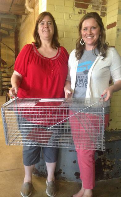 Alton cat trap, neuter, release program starting in July, needs volunteers