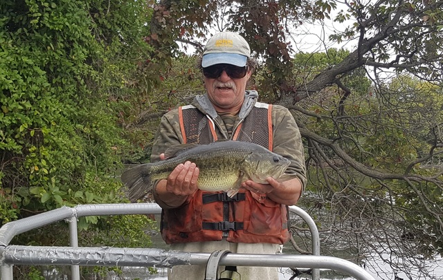 Lake Jacksonville shocked for fish study