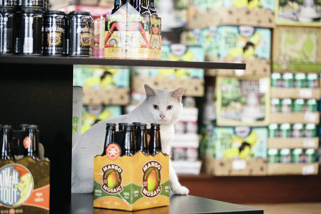 Second chance for ornery cats