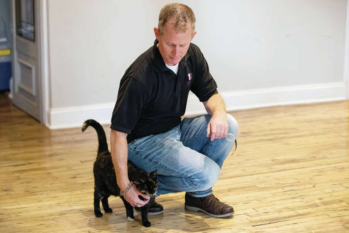 Second chance for ornery cats