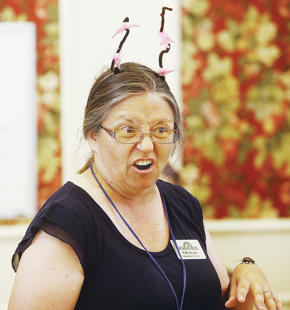 All about bugs: education director planning critter talk for Sierra Club