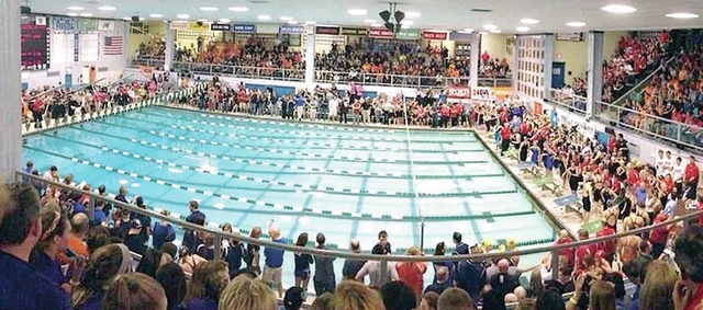 BOYS STATE SWIM MEET: Alton’s Clancy narrowly misses backstroke finals