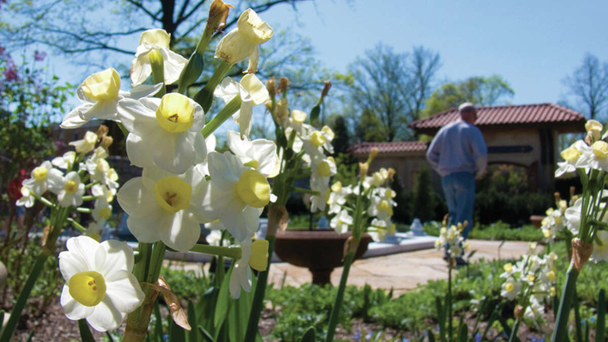 Celebrate spring awakenings during this weekend’s Missouri Botanical ...