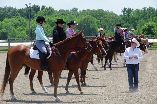 Horsing around serious endeavor at Greene County Fair