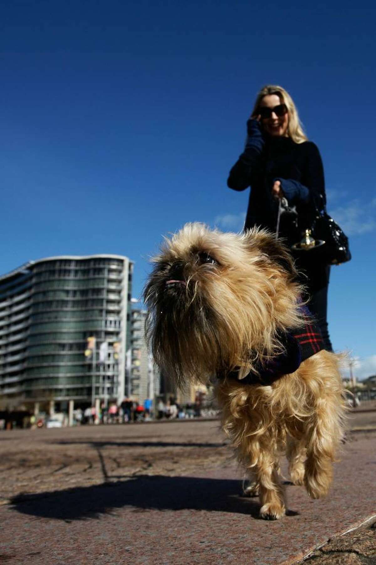 Laurie Anderson performs Opera House dog concert