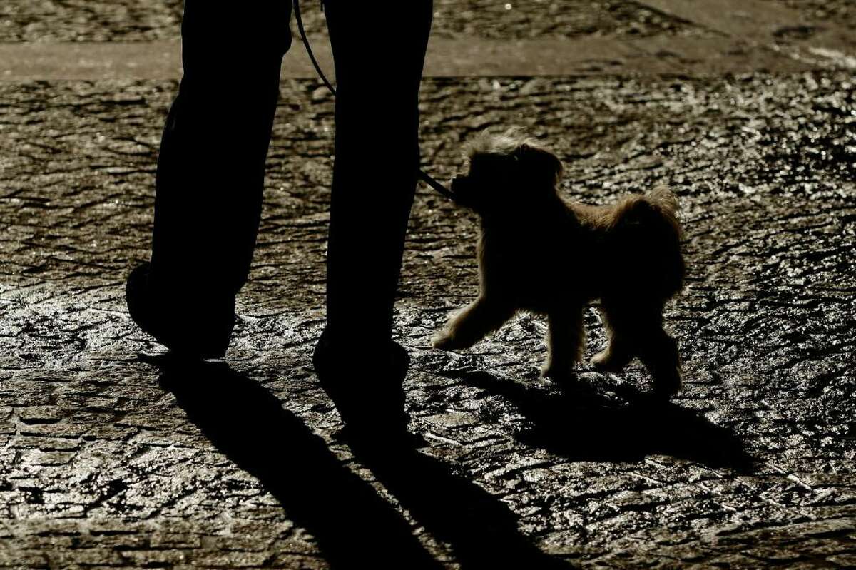 Laurie Anderson performs Opera House dog concert