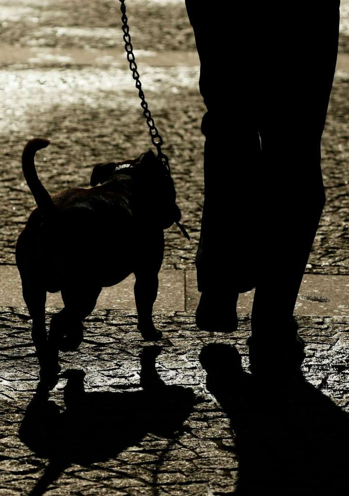 Laurie Anderson performs Opera House dog concert