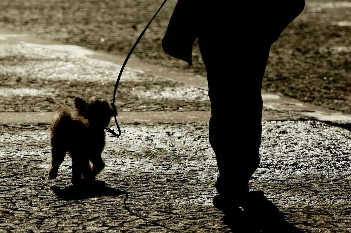 Laurie Anderson performs Opera House dog concert