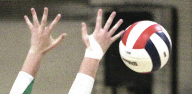 PREP VOLLEYBALL: Redbirds, Tigers take tourney titles