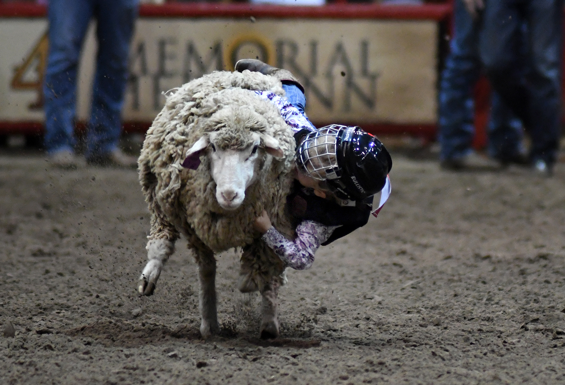 Humble Rodeo shows off local talent