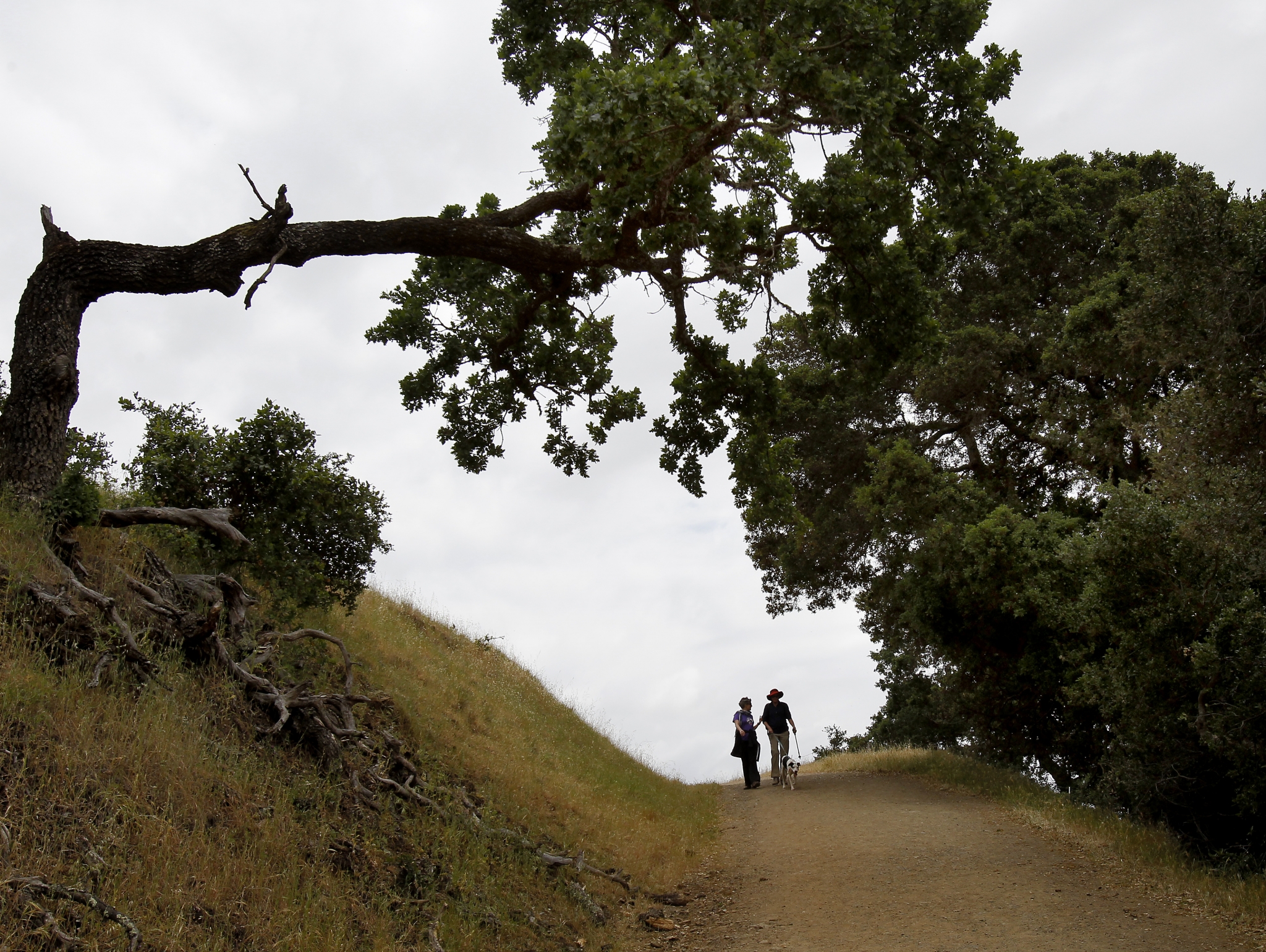 Sunday getaway to Mount Burdell