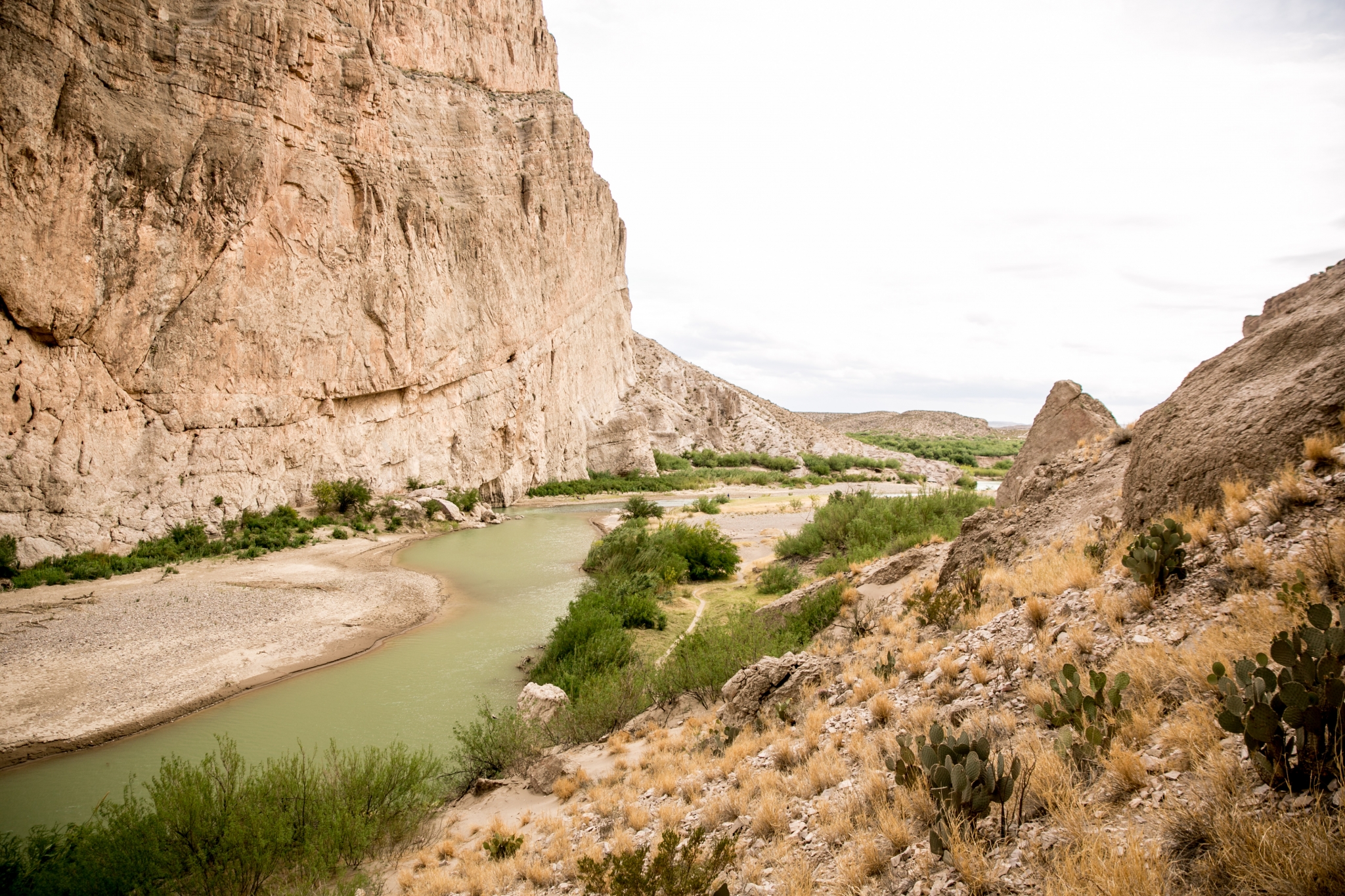 In 'The Which Way Tree,' a story of vengeance on the Texas frontier