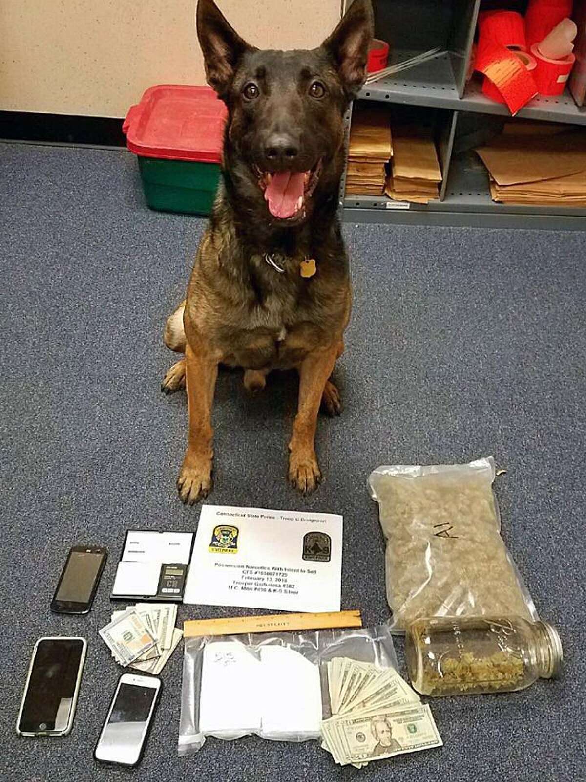 State police: K9 finds marijuana, cocaine during traffic stop