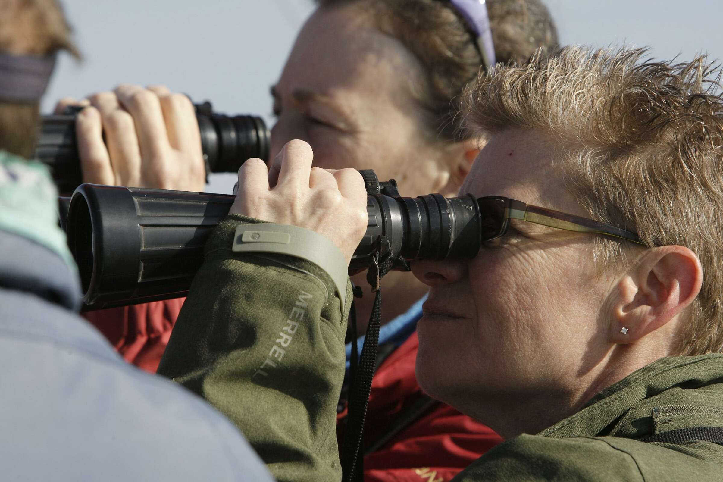 Whooping cranes are back for annual Port Aransas festival