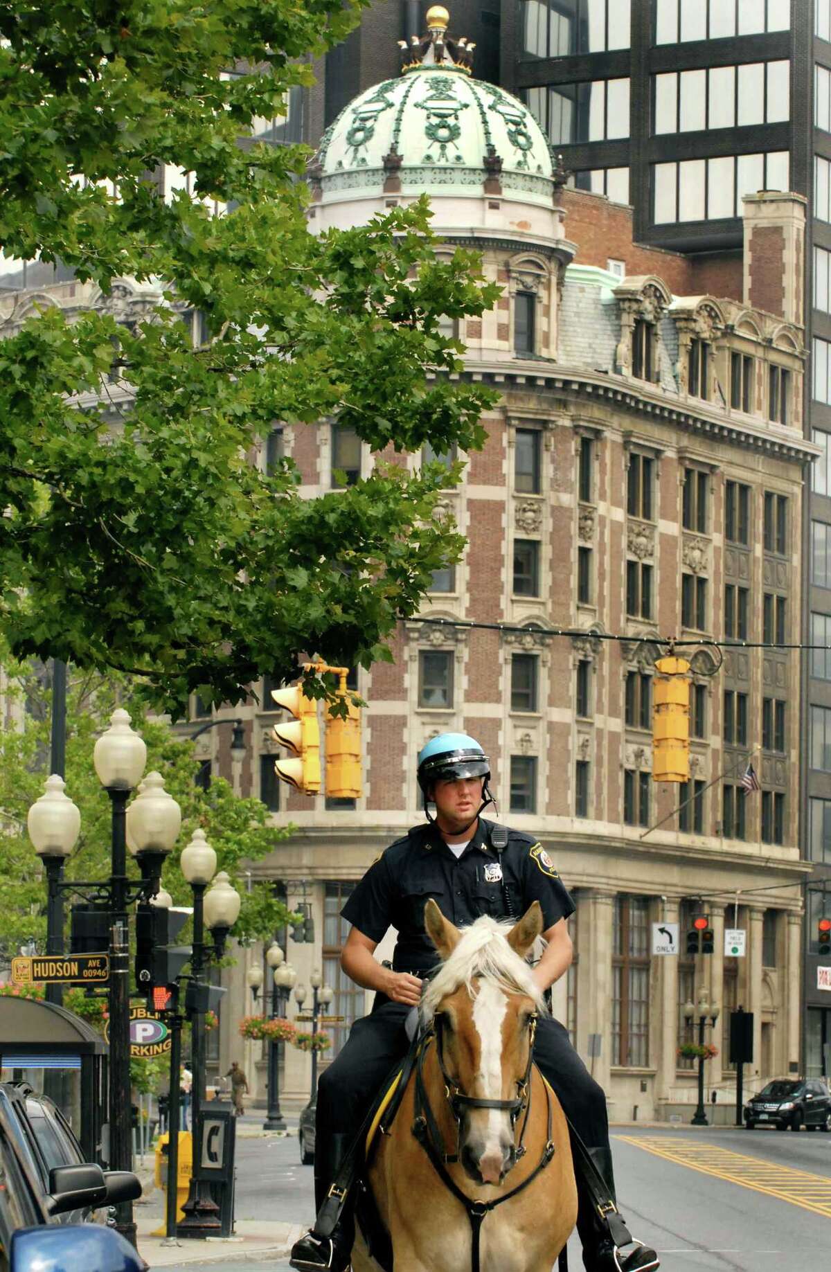 Horse rescued from neglect joins Albany police mounted unit