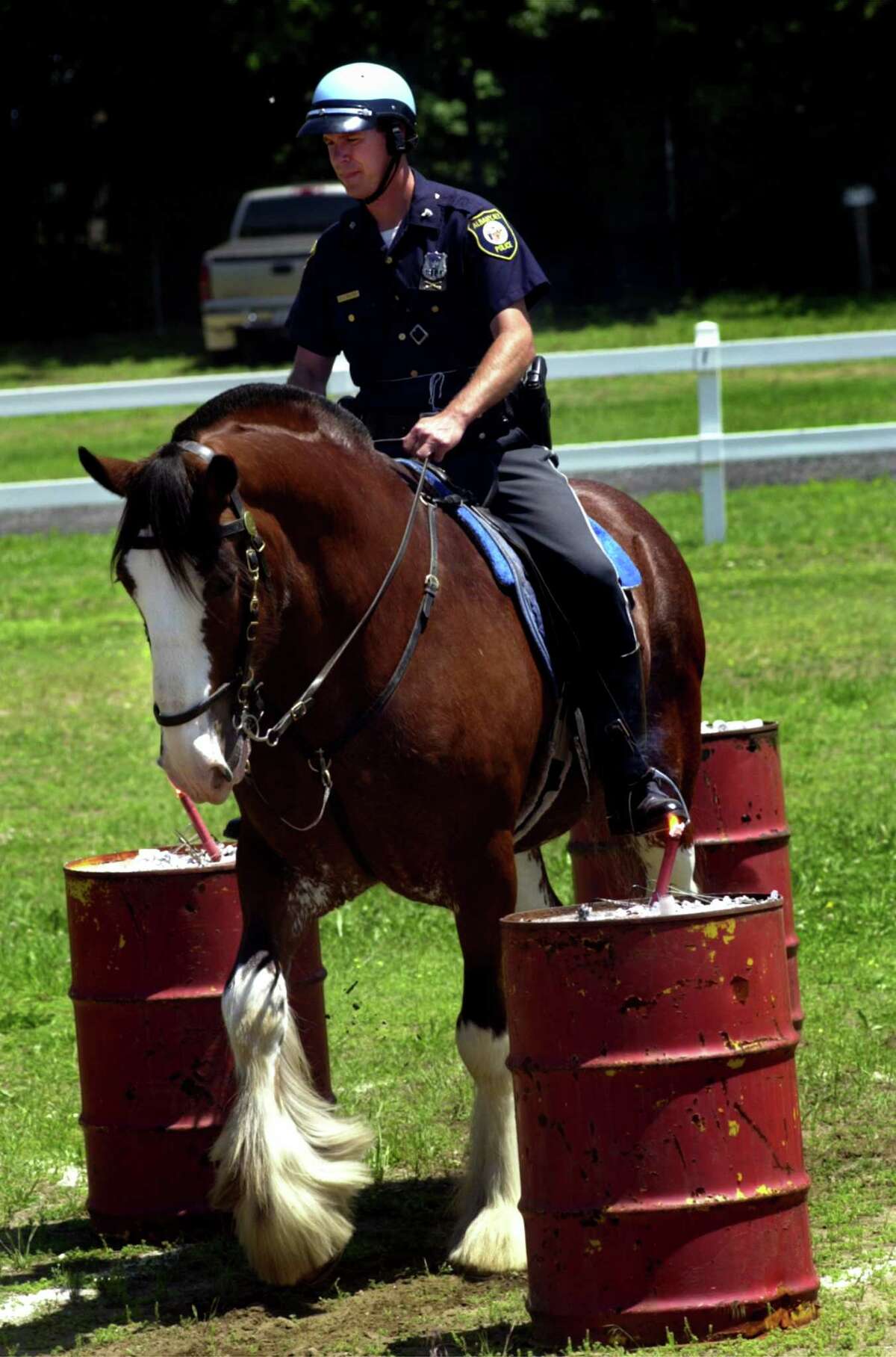 Photos: Police horses in the Capital Region through the years