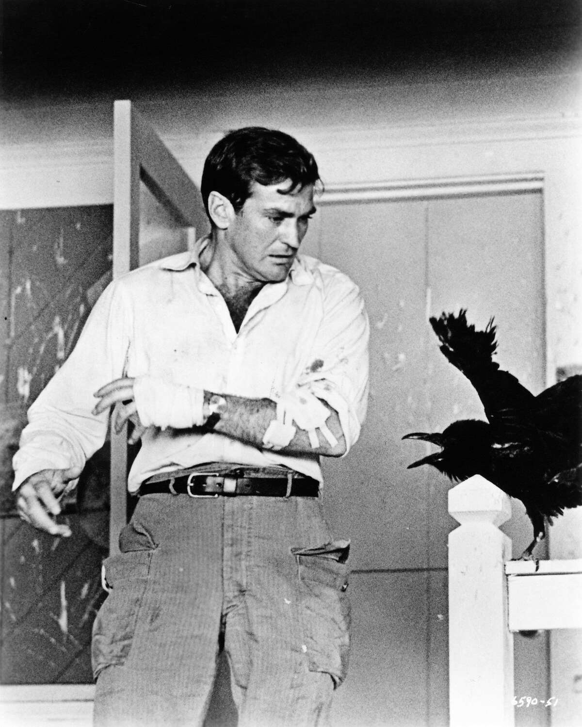 ‘The Birds,’ released in 1963, is the movie we need in 2018