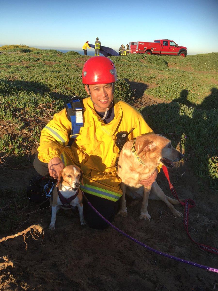 SF firefighters rescue 2 dogs that fell off a cliff
