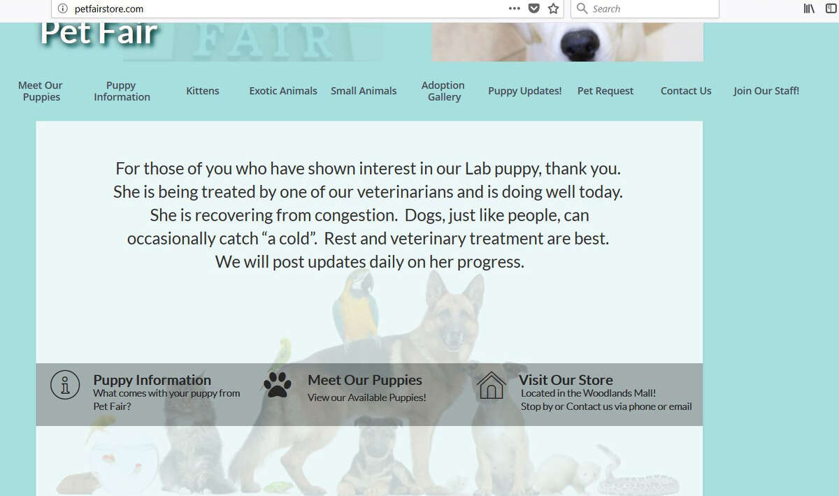 Woodlands pet store faces online uproar over puppy's illness