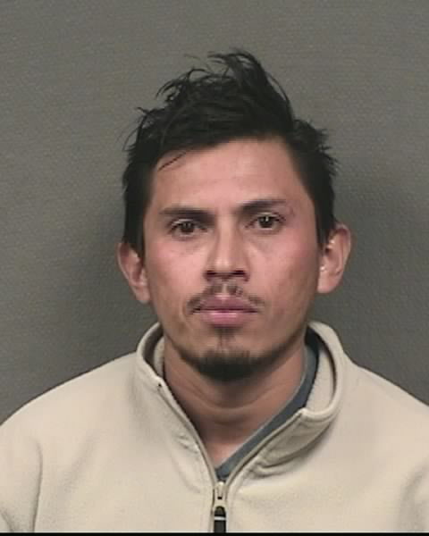 Rita Guignard's Instagram, Twitter & Facebook on IDCrawl