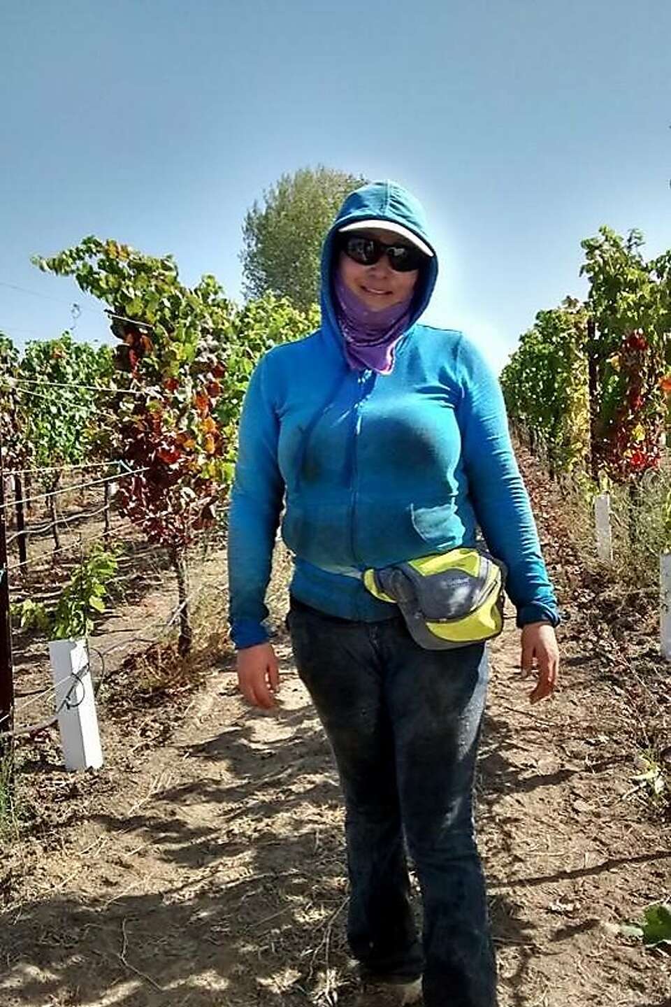 Increasingly, California vineyards field a workforce of women