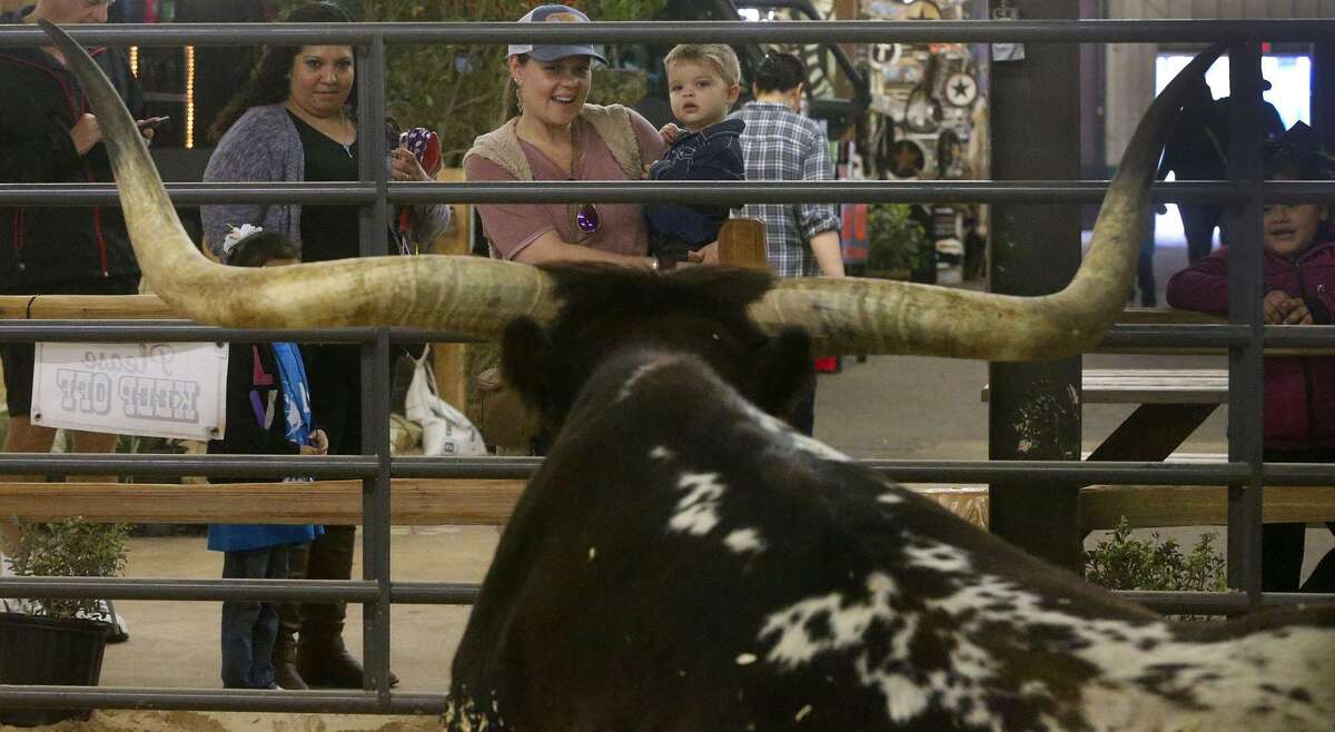 Rodeo’s Longhorns educating busloads of kids