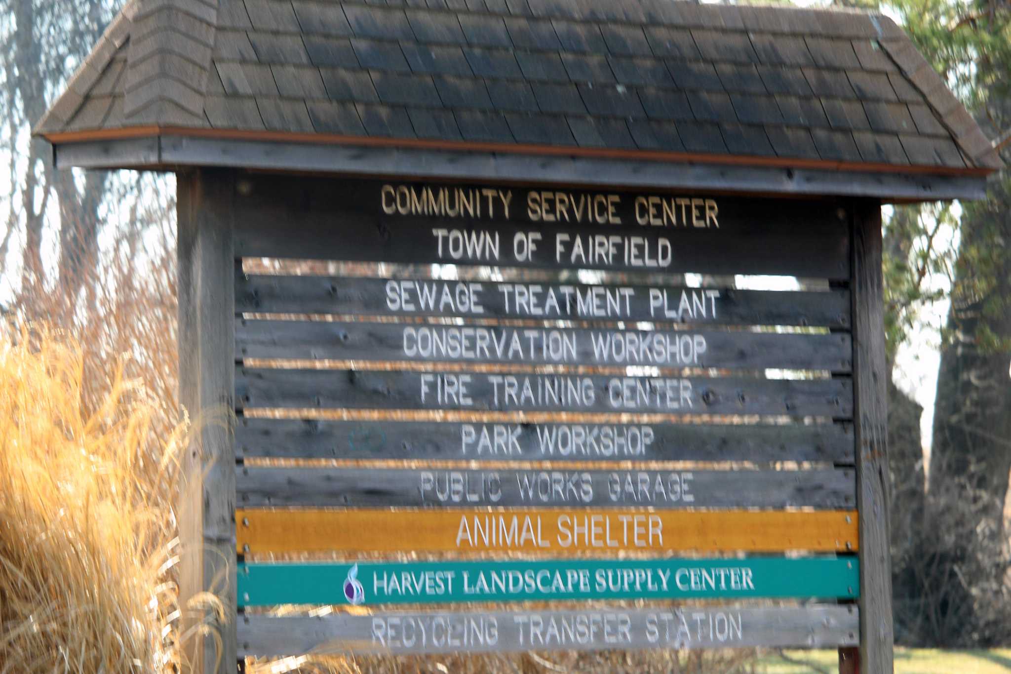 Contaminated material gone from fill pile