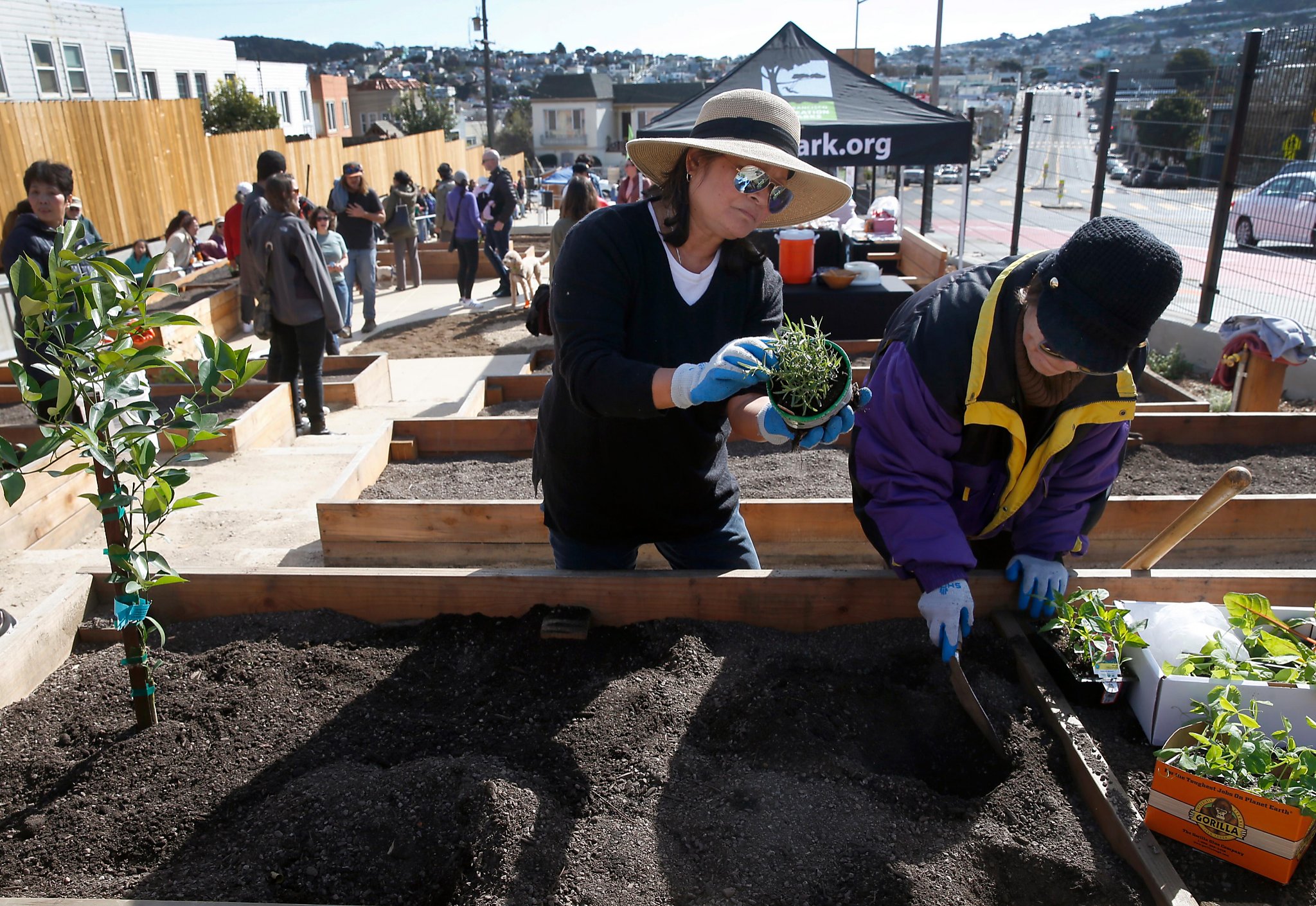 Newest SF community garden brings a welcome splash of greenery