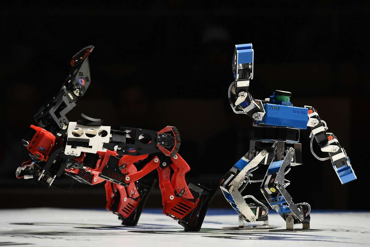 World news photos: Desperate struggle, frivolity and more