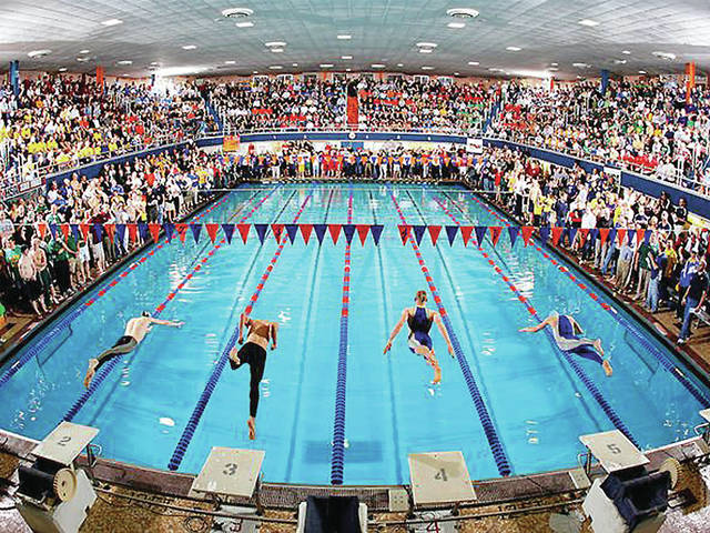 Clancy seeded sixth in backstroke, leading record number of AHS ...