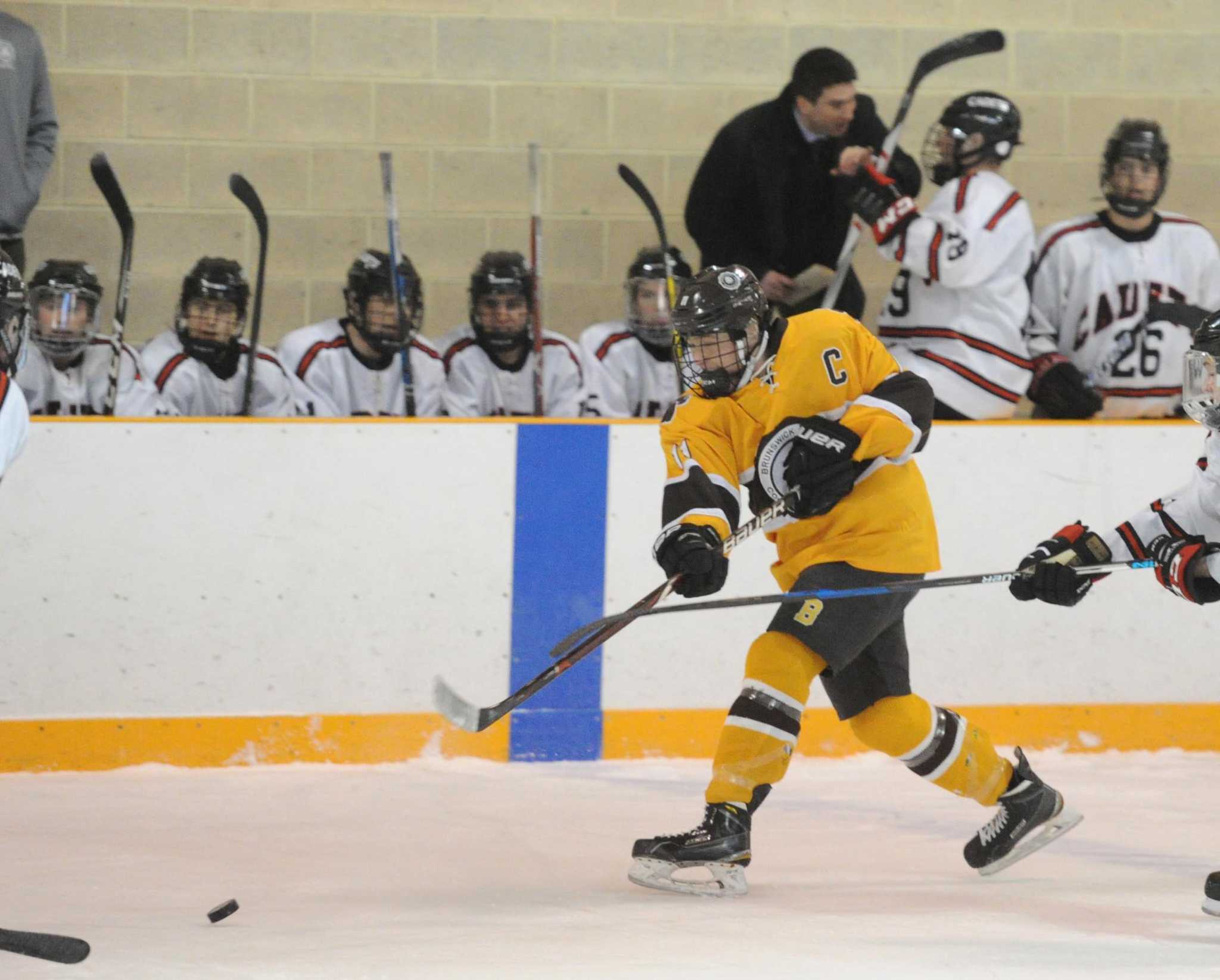 LeSueur named to All-USA Boys Hockey team