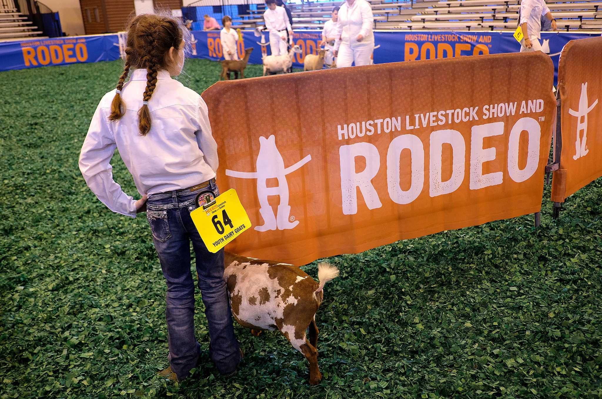 Lamb, goat break world records at Rodeo Houston