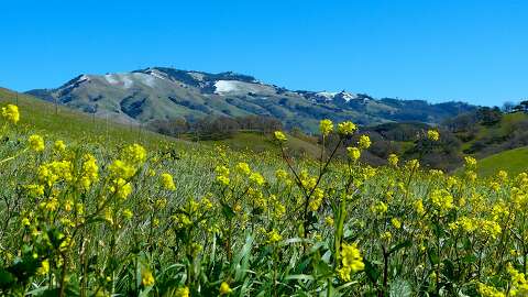 Winter, spring arrive at same moment at Mount Diablo