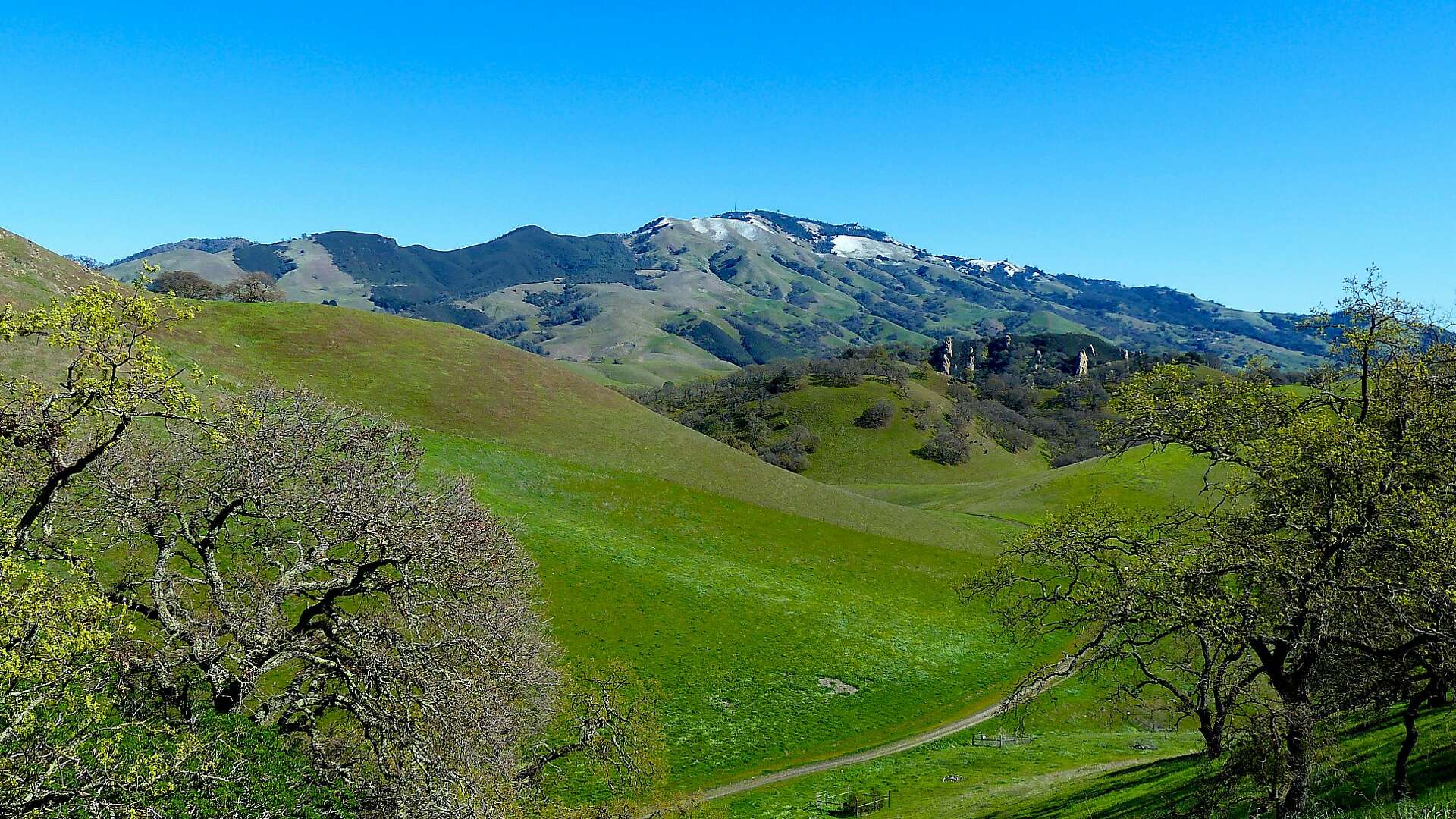 Winter, spring arrive at same moment at Mount Diablo