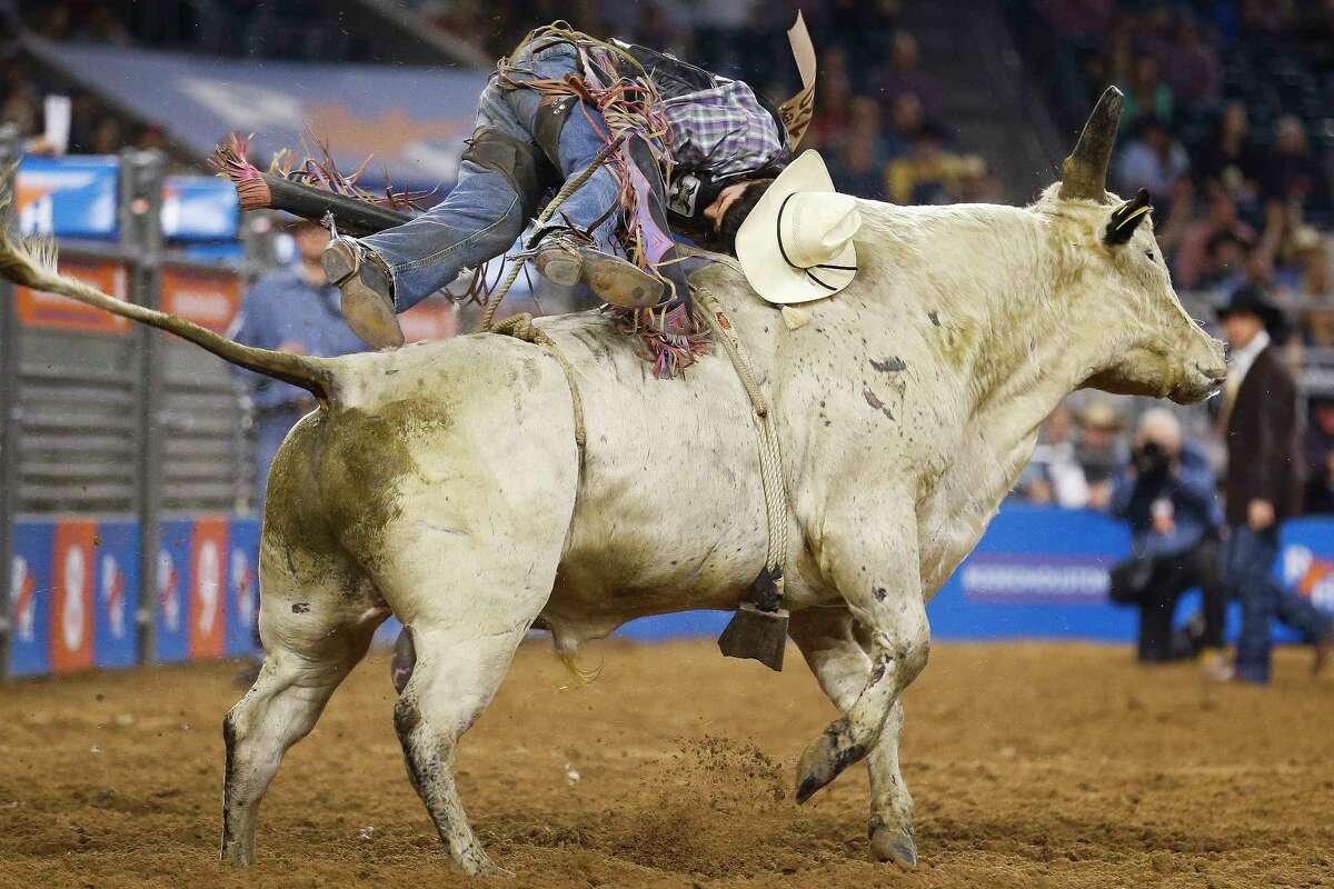 The best photos from the 2018 Houston Livestock Show and Rodeo