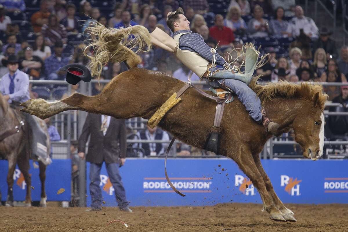 Activist's protest against Houston rodeo goes viral on Facebook