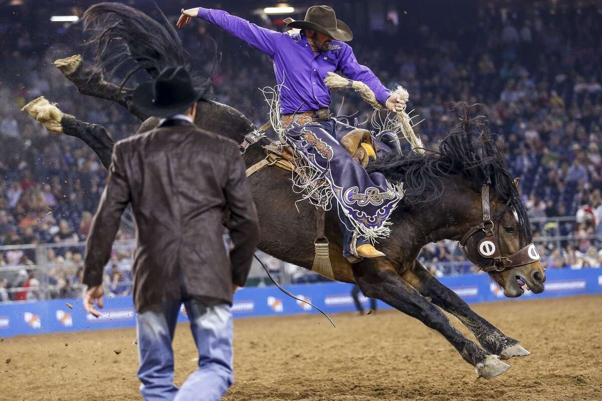 Activist's protest against Houston rodeo goes viral on Facebook