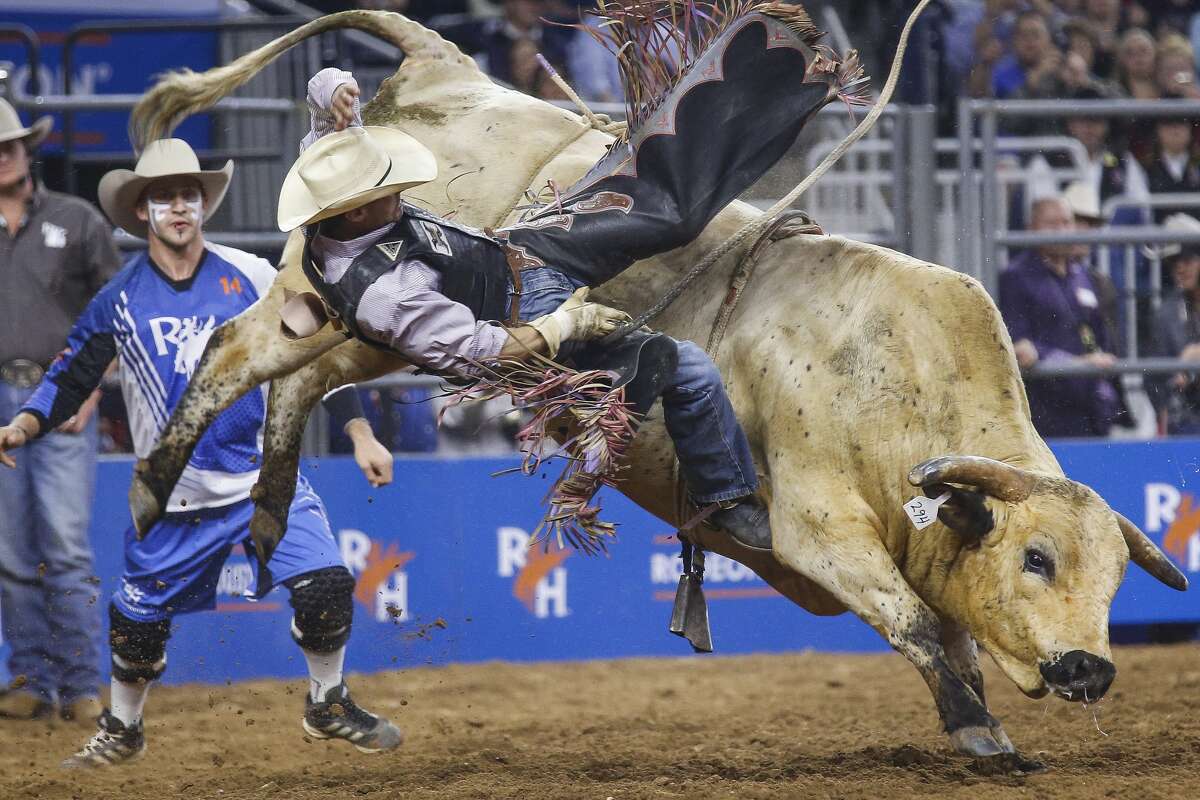 Activist's protest against Houston rodeo goes viral on Facebook