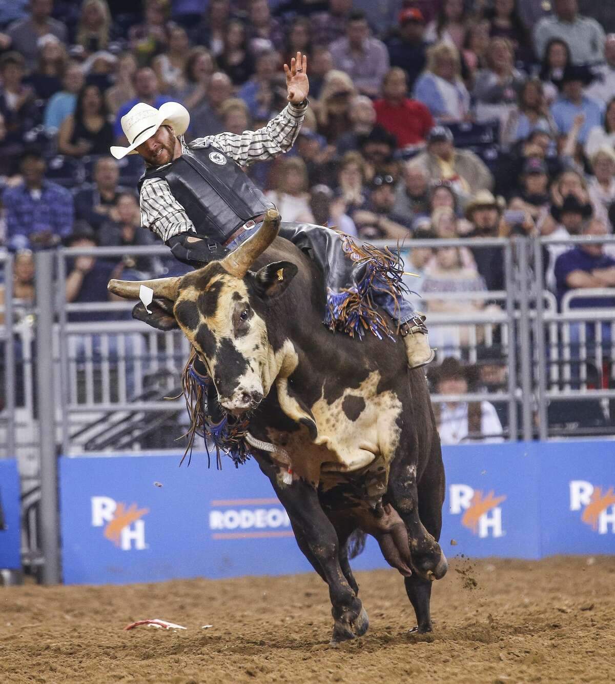 Activist's protest against Houston rodeo goes viral on Facebook